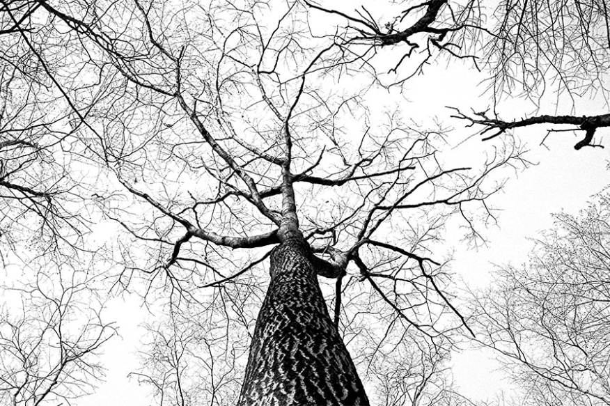 Migrating from TFS to Git